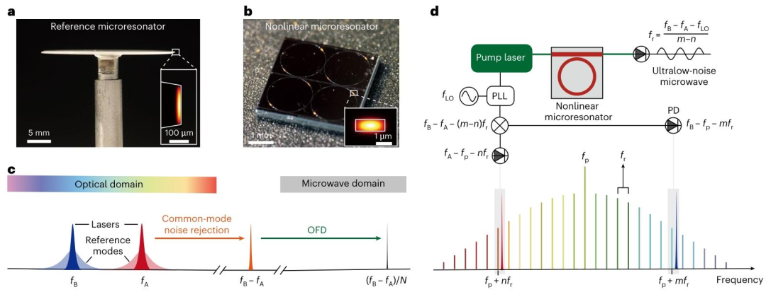 研究成果 | 光学微腔器件化驱动多项光学应用新进展：Nat. Photonics、Sci. Adv & ACS Photonics-北京大学-长三角光电科学研究院